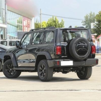 China Great Wall Tank 300 SUV 2023 2.0T Gasoline 8-Speed AT 227HP 4WD Off-Road Vehicle for sale