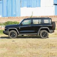 China 2023 Tank 300 2.0T 227 HP SUV Gasoline Automatic Off-Road Vehicle for sale