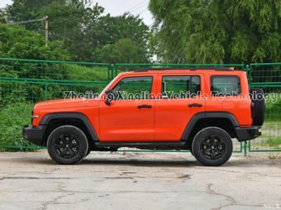 China 2024 Great Wall Tank 300 2.0T Petrol 4WD Compact SUV 227PS 167kW 387Nm 5-Seater for sale