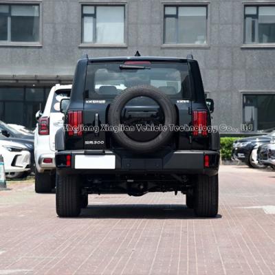 China 2023 Changcheng Tank 300 2.0T Gasoline SUV 5 Seater Left Steering 8-Speed Automatic for sale