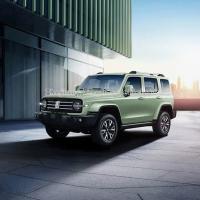China GWM Tank 300 2.0T Gasoline SUV 8-Speed Automatic 4WD 167kW 387Nm Off-Road Vehicle for sale