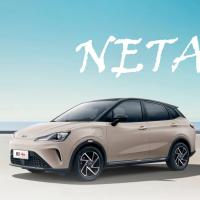 China 2023 Neta Aya 2420mm Wheelbase Fully Enclosed Electric Ride-on Car 318km Range for sale