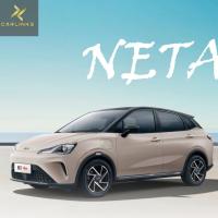 China Neta Aya 2023 2024 Electric SUV 318km 401km Range 4G OTA WiFi Hot Spot LED for sale