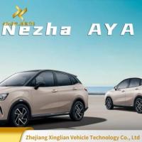 China 2023 Neta Aya 401 Electric SUV 5-Door 5-Seater 70kW Motor 401km Range Fast Charge 0.5h for sale