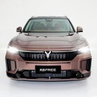 China Dongfeng Voyah Free Electric SUV 490 PS Extended Range 210 km CLTC Dual Motor AWD for sale