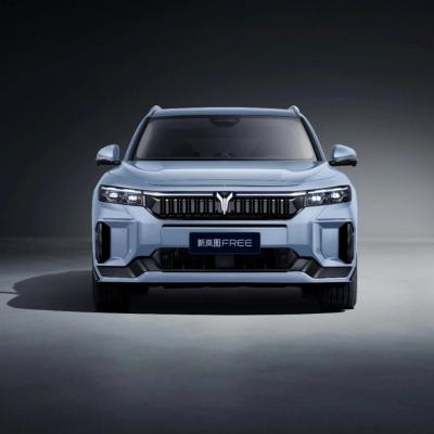 China Voyah Free 2024 Long Range Extended Range SUV 4905mm Dual Motor AWD 360kW 720Nm for sale