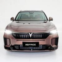 China Voyah Free 2024 Long Range Intelligent Driving BEV SUV 490 Motor 210km Electric Range for sale