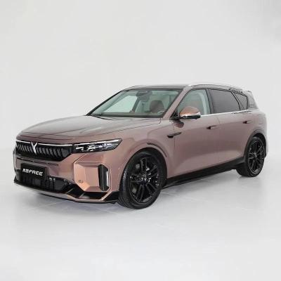 China 2024 Voyah Free Long Range Intelligent Edition EV SUV 490 PS Dual Motor 6 Seats for sale