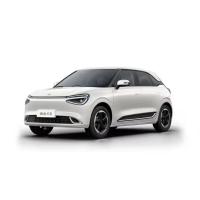 China Dongfeng Nano 01 2024 430 Plus Left Hand Drive Electric Car 160 Nm Torque 330 km Range for sale