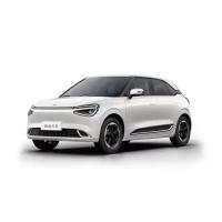 China 2024 Dongfeng Nano 01 Electric Mini Car 330km Range 5 Door Left Hand Drive for sale