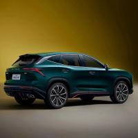 China 2024 Jietu Dasheng SUV 1.5T Turbo Engine Automatic Gear Box Euro VI 5 Seats for sale