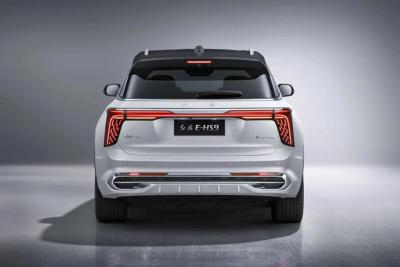 China 2023 Hongqi E-HS9 690km Electric SUV 7-Seater EU Charger DC Dual Motor 4WD for sale
