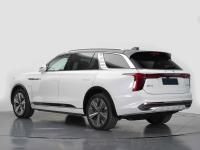 China FAW Hongqi E-HS9 2022 Electric SUV LHD 660km Range 4WD 6 Seats for sale