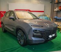 China 2022 Jietu Dasheng 1.6T DCT 5 Seats Front Wheel Drive Gas SUV 145kW for sale