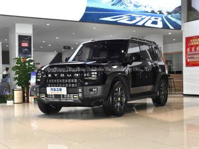 China 2024 Jetour Traveller 2.0T AWD 4WD Compact SUV Petrol Gasoline 5 Seater for sale
