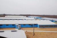 China Steel Structure Commercial Chicken Houses GB Standard Corrosion Resistance for sale
