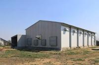 China Pre Engineered Steel Structure Poultry House Q355B Sqaure Tube And H Section for sale