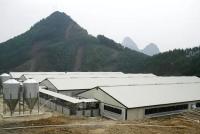 China XGZ Steel Structure Poultry House Customized Size Farm Steel Structures Custom Colors for sale