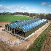 China Water Resistance Steel Structure Poultry House Pre Built Chicken Coops Lightweight for sale