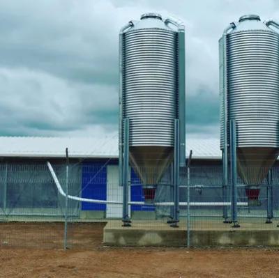 China 50MM Light Steel Poultry House Farm Sheds Poultry Pre Built Chicken Coops Custom Color for sale