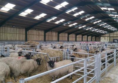 China Sheep Pen Poultry Metal Shed Buildings Agricultural Prefab Metal ShedFire Resistant for sale