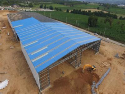 China 100% Recycled Innovative Steel Structures Cattle Cow Steel Framed Farm Buildings for sale