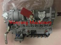 China Supply China Cummins engine spare parts injection pump 49994681 for sale