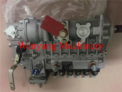 China Supply China Cummins engine spare parts injection pump 49994681 for sale