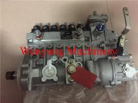 China Supply China Cummins engine spare parts injection pump 49994681 for sale