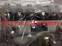 China Fuel Injection Pump Wheel Loader Engine Parts Weichai WD10G 612601080591 for sale
