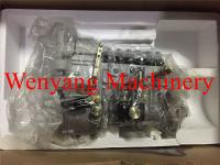 China Fuel Injection Pump Wheel Loader Engine Parts Weichai WD10G 612601080591 for sale