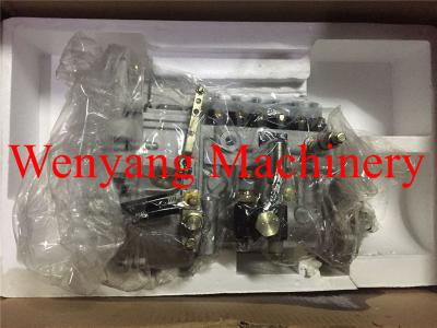 China Fuel Injection Pump Wheel Loader Engine Parts Weichai WD10G 612601080591 for sale