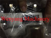 China Fuel Injection Pump Wheel Loader Engine Parts Weichai WD10G 612601080591 for sale