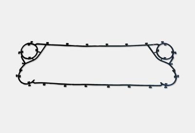 China Food Industry Heat Exchanger Gaskets 304 316L  Hastelloy Material Gasket NBR EPDM for sale
