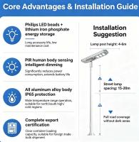 China 60W All In One Integrated Solar Street Lights LiFePO4 Battery for sale