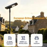 China 60W Integrated Solar Street Lights 230Lm/W Ultra High Energy Efficiency LED Chip 5000K for sale