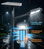 China Split Solar Street Light LR-NZ Series 60W/70W 5050 LED IP65 Street Lamp for Government Main Road for sale