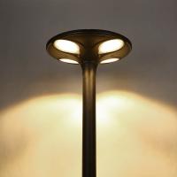 China 4000LM Solar Garden Outdoor Light 30W IP65 Waterproof SMD2835 LiFePO4 45Ah Black for sale