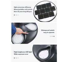 China 4000LM Solar Garden Outdoor Light 30W IP65 Waterproof SMD2835 LiFePO4 45Ah Black for sale
