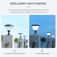 China Super Bright Outdoor Courtyard Standing Solar Gate Lamp Aluminum PC Black LED European Garden Light for sale