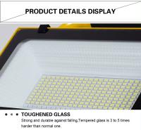 China LR-SFL-100W-AIO Waterproof LED Flood Lights Portable Rechargeable for Outdoor Camping for sale