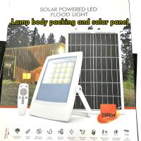 China LR-V2-PRO Super Bright Outdoor 4.8W Solar Flood Lights IP65 Waterproof for Temporary Tent Lighting for sale