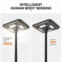 China 60W Integrated Solar Street Light Intelligent Light Sensing 18000LM 5050 LED 160W Panel for sale