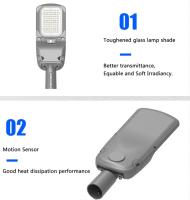 China LBA Series High Performance 60W 9600Lm Split Solar Street Light with 180W Monocrystalline Solar Panel for sale