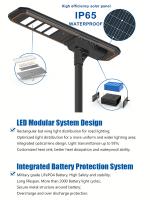 China 120W All In One Solar Street Light LRC-H120W 21600Lm 5050 LED for Rural Project for sale