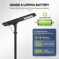 China LEADRAY LRC-H130W 130W All In One Solar Street Light 5050 LED 23400Lm for Rural Highway Project for sale