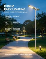China 120W Solar Street Light 230Lm/W High Lumen Outdoor Solar Lamp for Village Road for sale