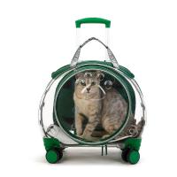 China Portable Pet Backpack Carrier with Wheels - 43×40×30cm Clear View Design in 4 Colors for Cats and Dogs for sale