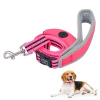 China Reflective Padded Nylon Dog Leash with Poop Bag Holder - 150cm Length, 130g Weight for Safety & Comfort for sale