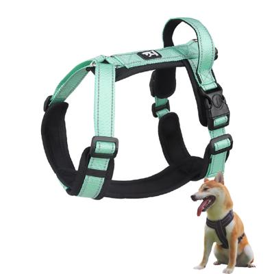 China Adjustable Polyester Dog Harness for Small & Medium Dogs with Reflective Stitching - All-Season Pet Safety Gear for sale